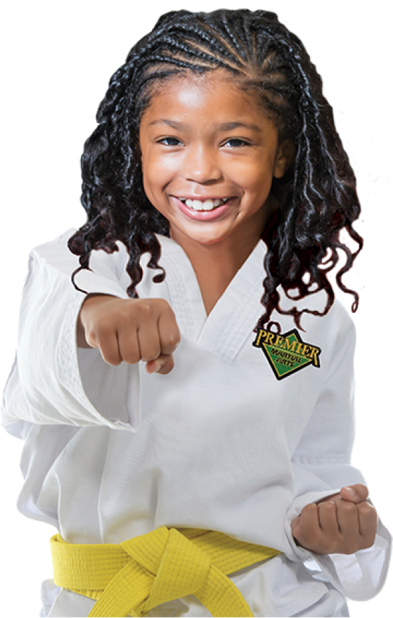 Karate Classes in Powell, TN | Premier Martial Arts